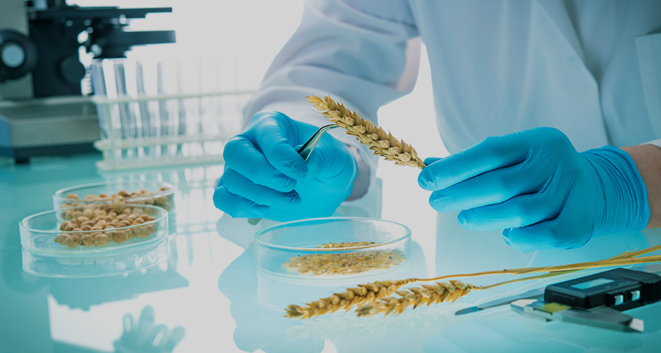 Faculty of Food Science and Biotechnology